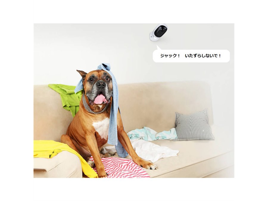 価格.com - KEIAN、ワイヤレスで使用できる電池駆動のIP65防塵・防水防犯カメラ