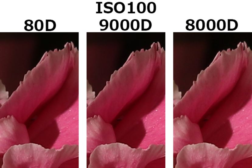 キヤノンの一眼レフ、この春買うなら「EOS 80D」「EOS 9000D キヤノンの一眼レフ、この春買うなら「EOS 80D」「EOS 9000D