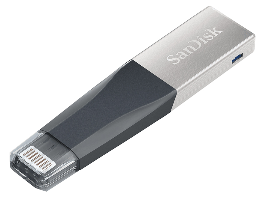 価格.com - iXpand Mini Flash Drive SDIX40N-256G-GN6NE [256GB] の製品画像